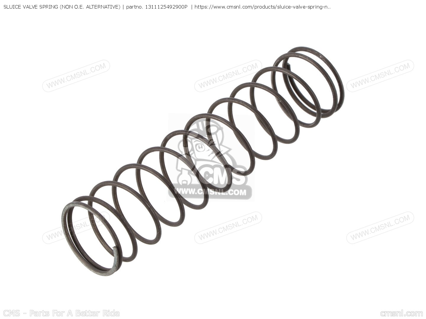 1311125492900P: SLUICE VALVE SPRING (NON O.E. ALTERNATIVE) Alternative ...