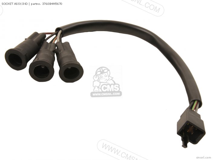 SOCKET ASSY,IND for TRX300FW FOURTRAX 4X4 1996 (T) USA - order at CMSNL