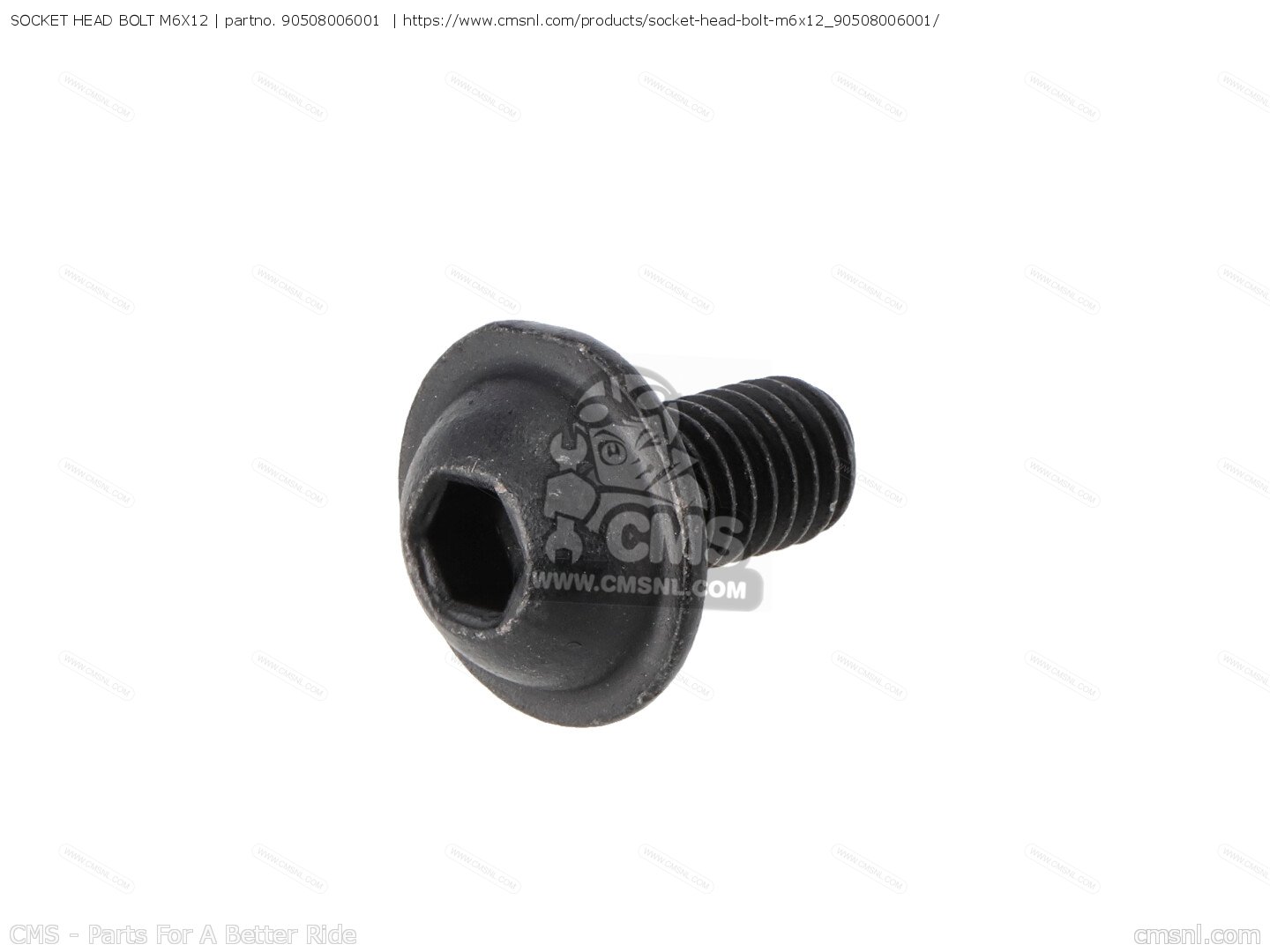 SOCKET HEAD BOLT M6X12 for 390 Adventure, orange - CKD CO 2020 - order ...