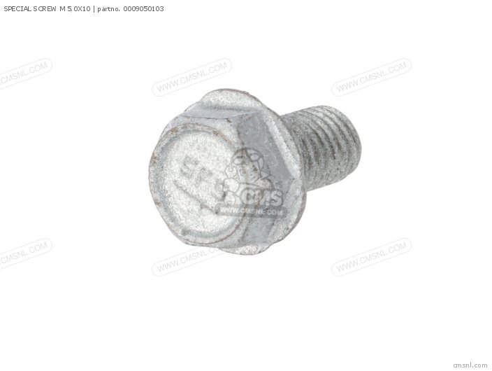 SPECIAL SCREW M 5,0X10 for 125 SXS Europe 2002 - order at CMSNL