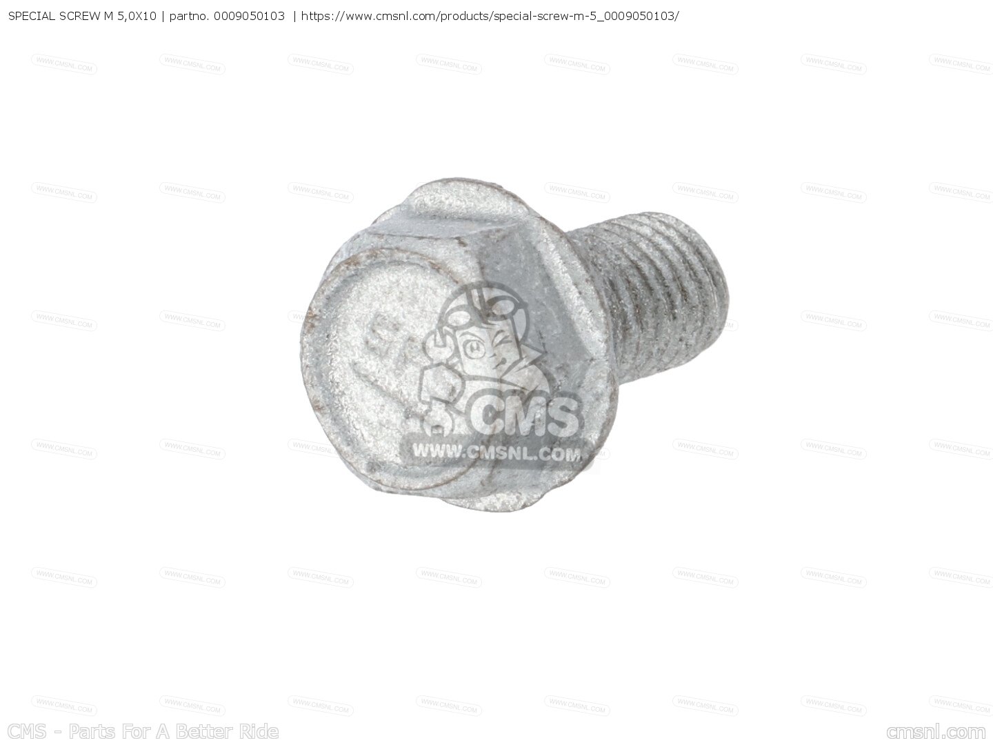SPECIAL SCREW M 5,0X10 for KTM - order at CMSNL