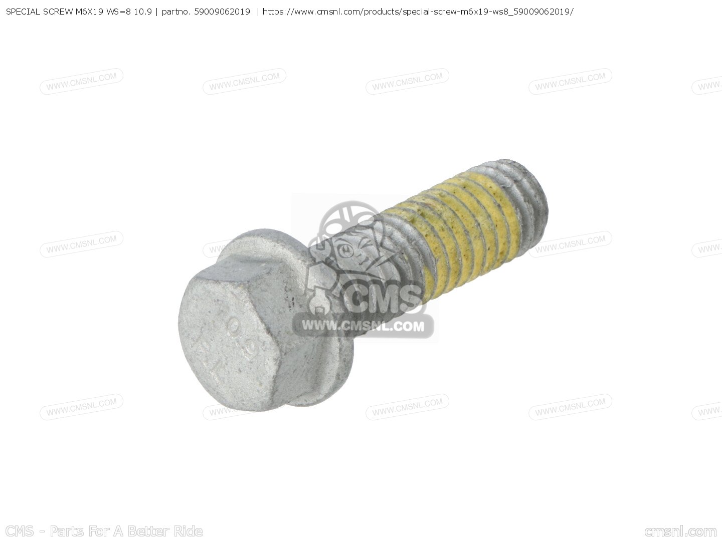 SPECIAL SCREW M6X19 WS=8 10.9 for KTM - order at CMSNL