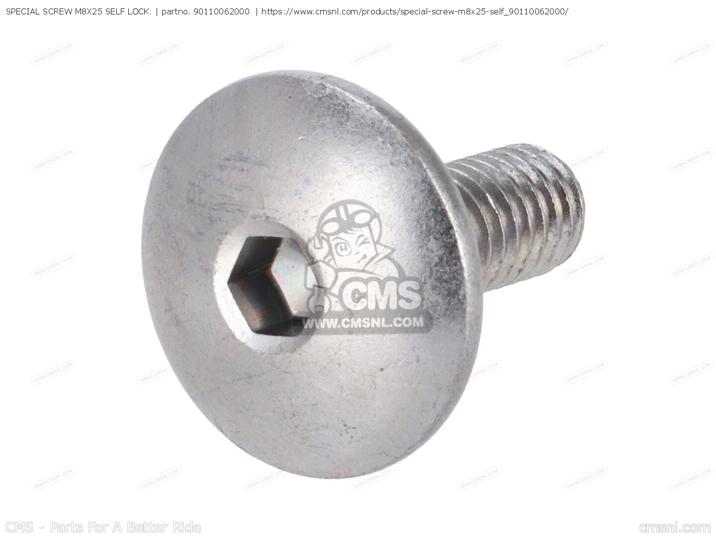 SPECIAL SCREW M8X25 SELF LOCK. for 390 Adventure, orange - CKD CO 2020 ...