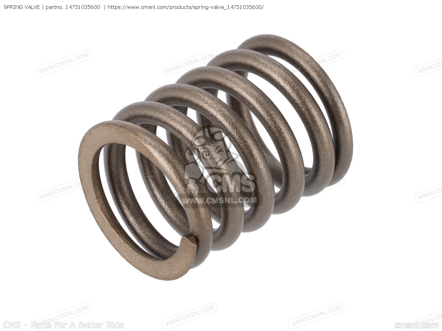 SPRING, VALVE for Honda - order at CMSNL