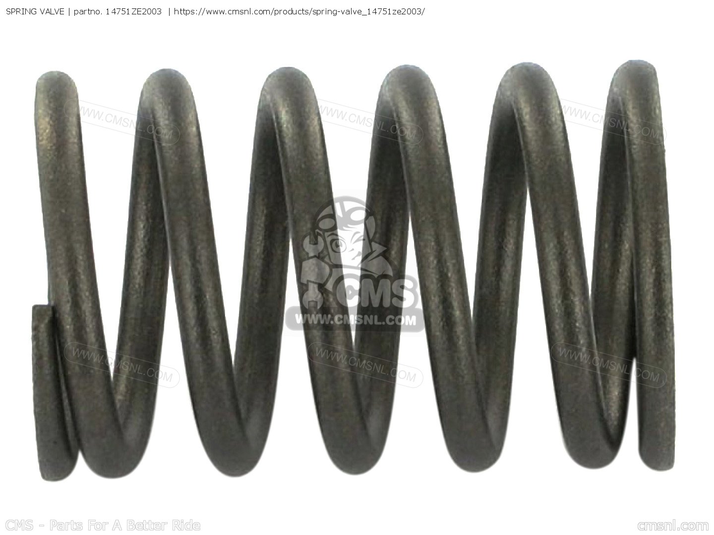 SPRING VALVE for Honda - order at CMSNL