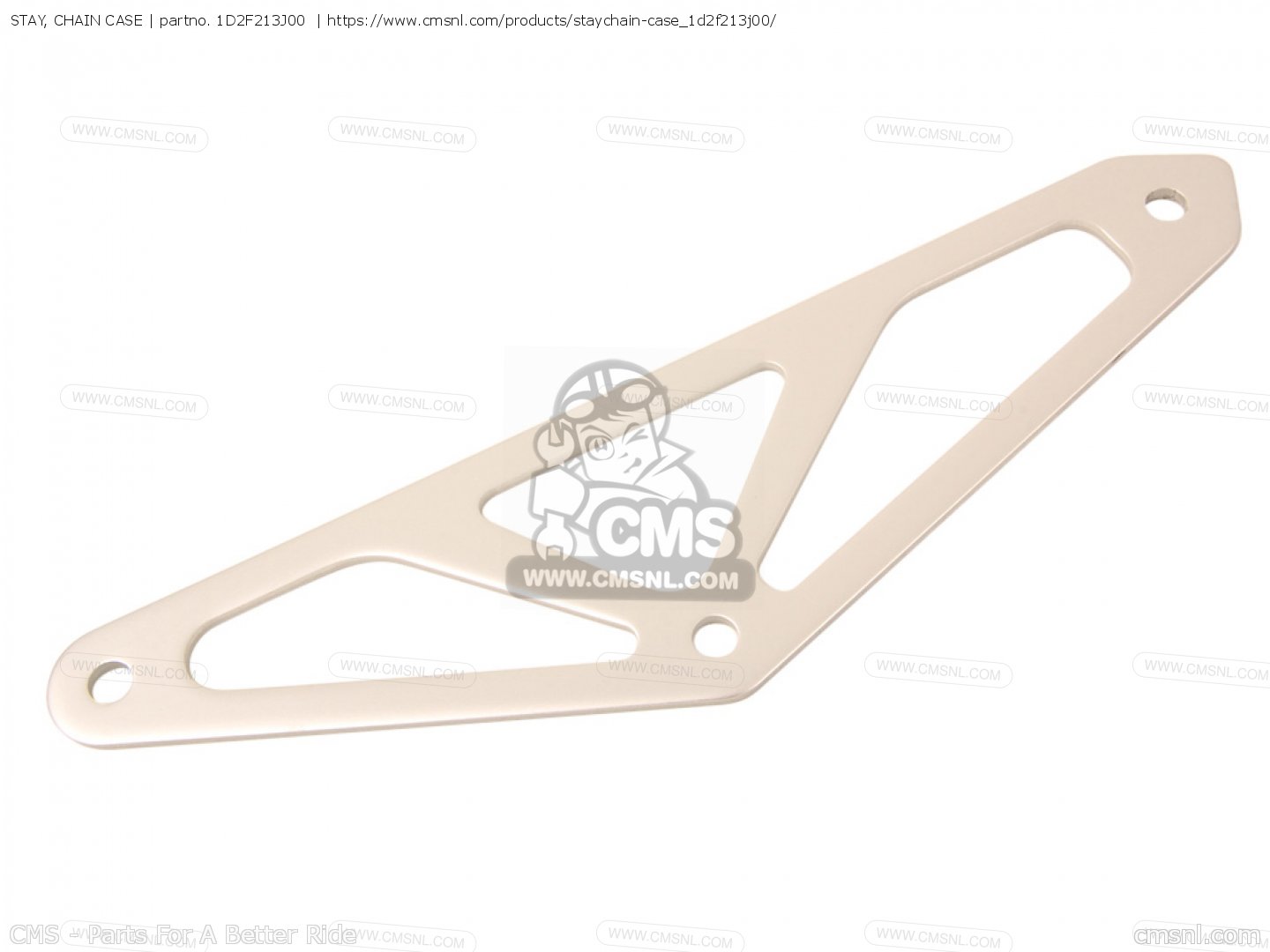 STAY, CHAIN CASE for XT660X 2007 10S1 DENMARK 1F10S-300F1 - order at CMSNL