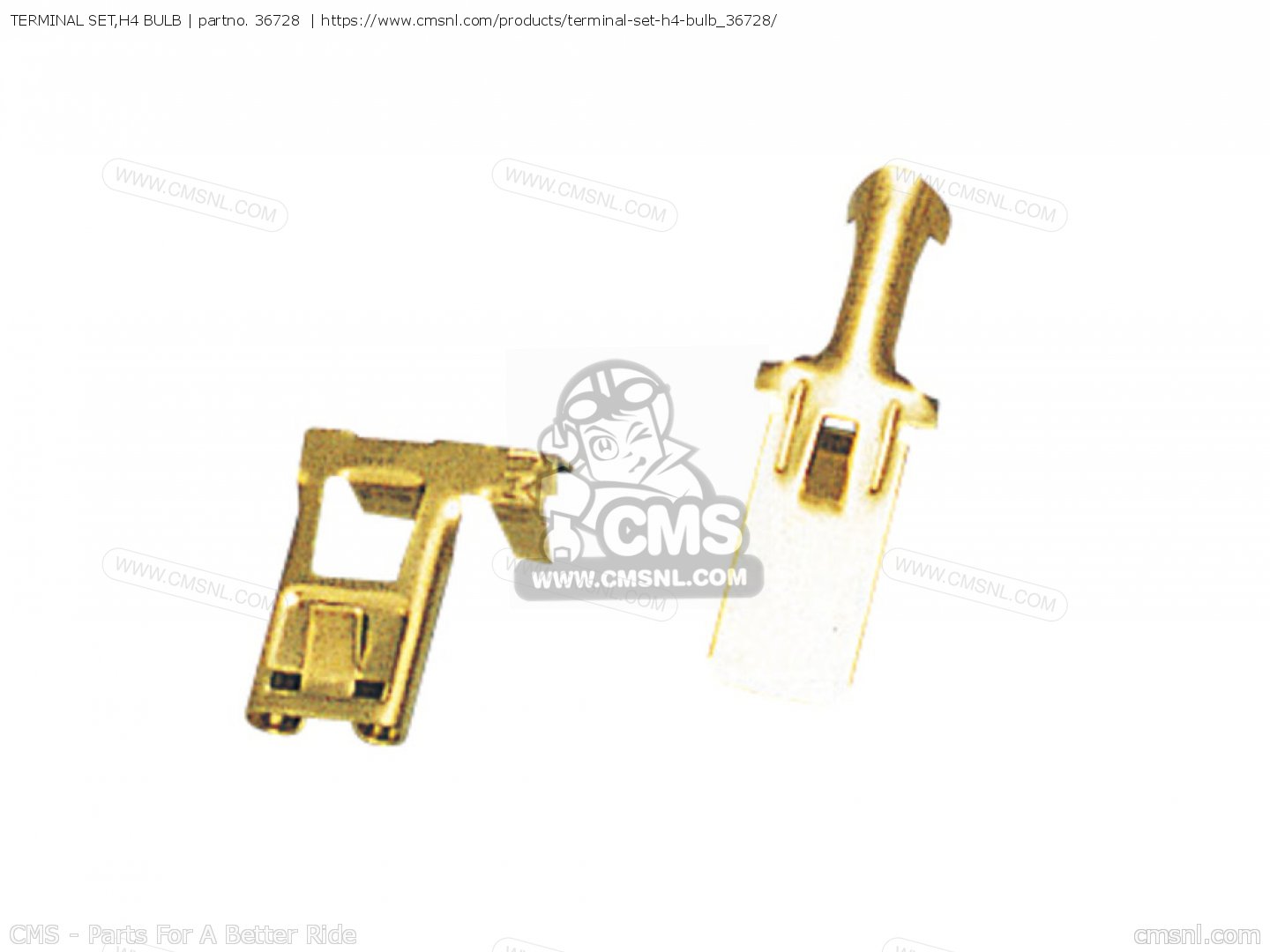 36728: TERMINAL SET,H4 BULB Daytona - buy the 36728 at CMSNL