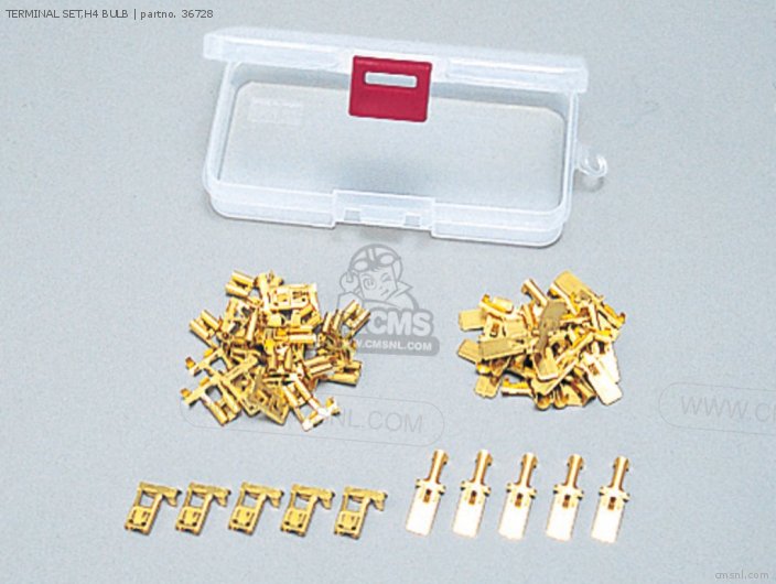 36728: TERMINAL SET,H4 BULB Daytona - buy the 36728 at CMSNL