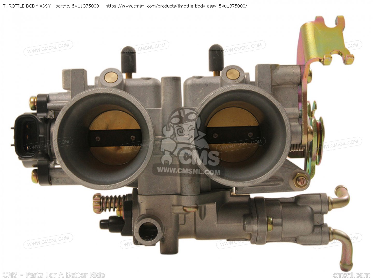 THROTTLE BODY ASSY for Yamaha - order at CMSNL