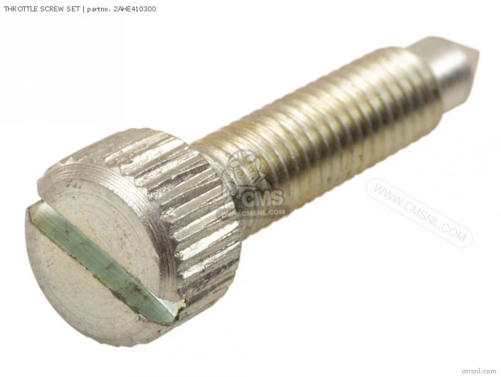 2AHE410300: THROTTLE SCREW SET Yamaha - buy the 2AH-E4103-00-00 at CMSNL