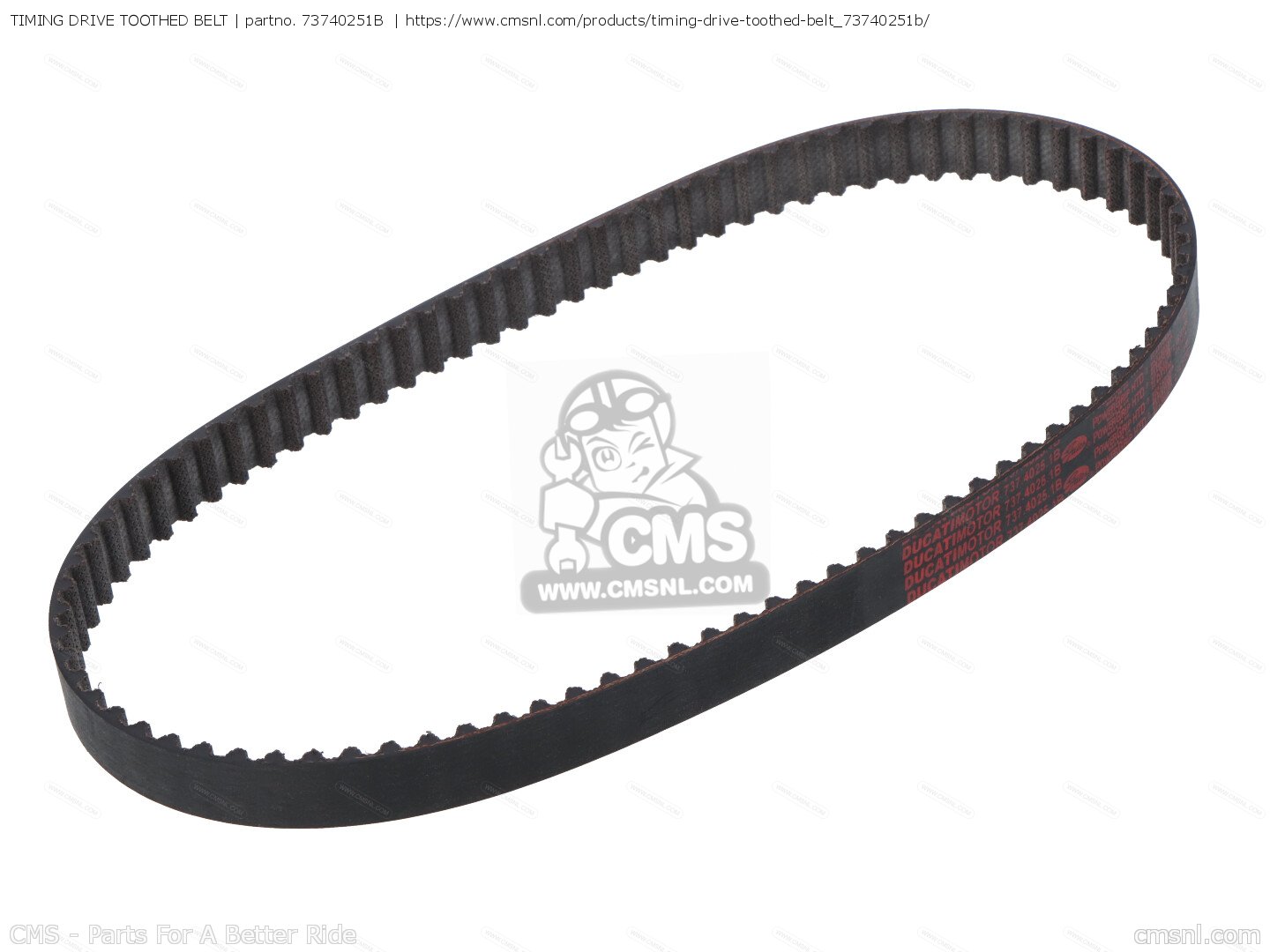 73740251B: TIMING BELT Ducati - buy the 73740251B at CMSNL