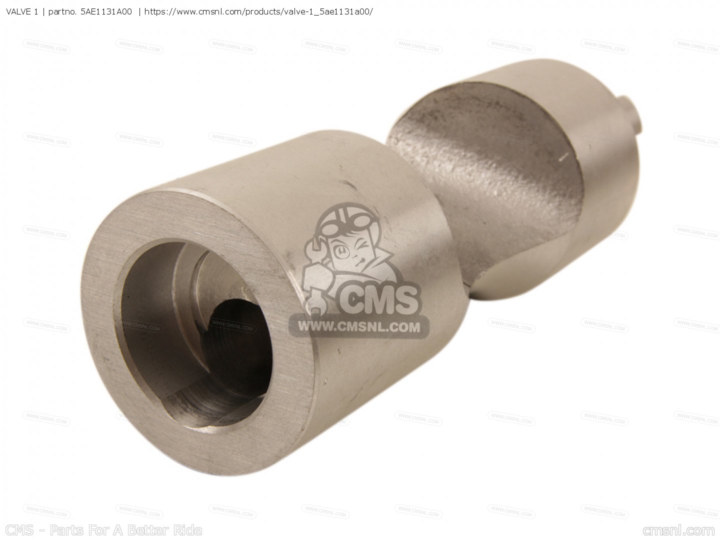 5AE-1131A-00-00 Valve 1, 5AE1131A00 Yamaha - TDR125