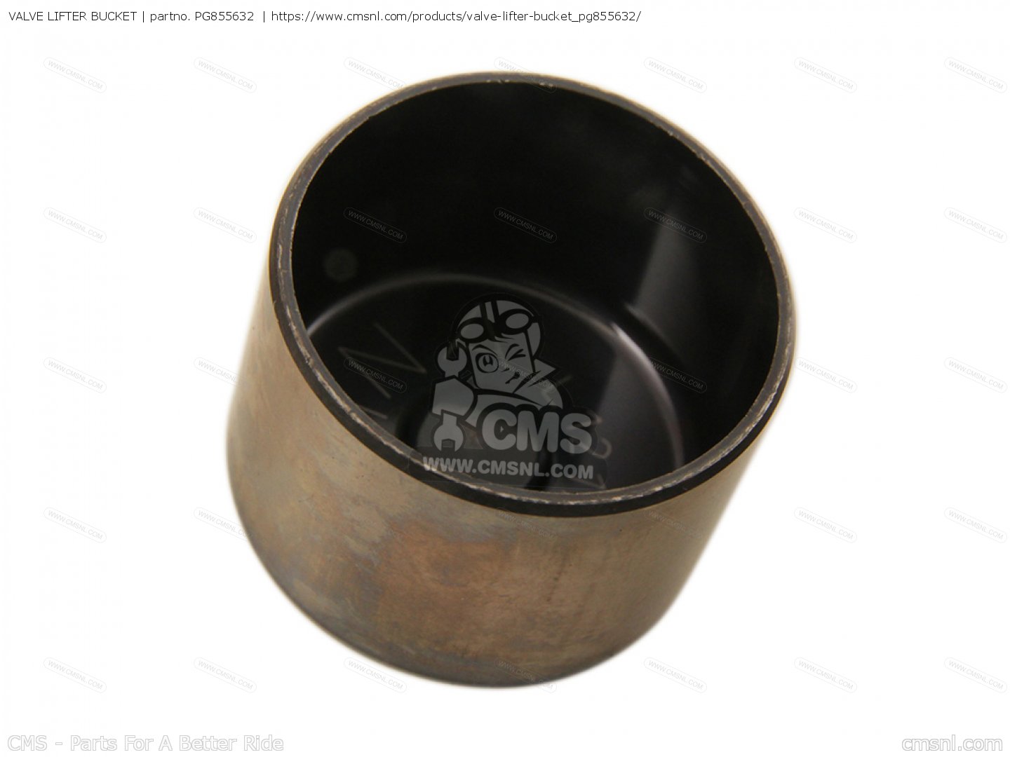 PG855632: VALVE LIFTER BUCKET Piaggio Group - buy the PG855632 at CMSNL