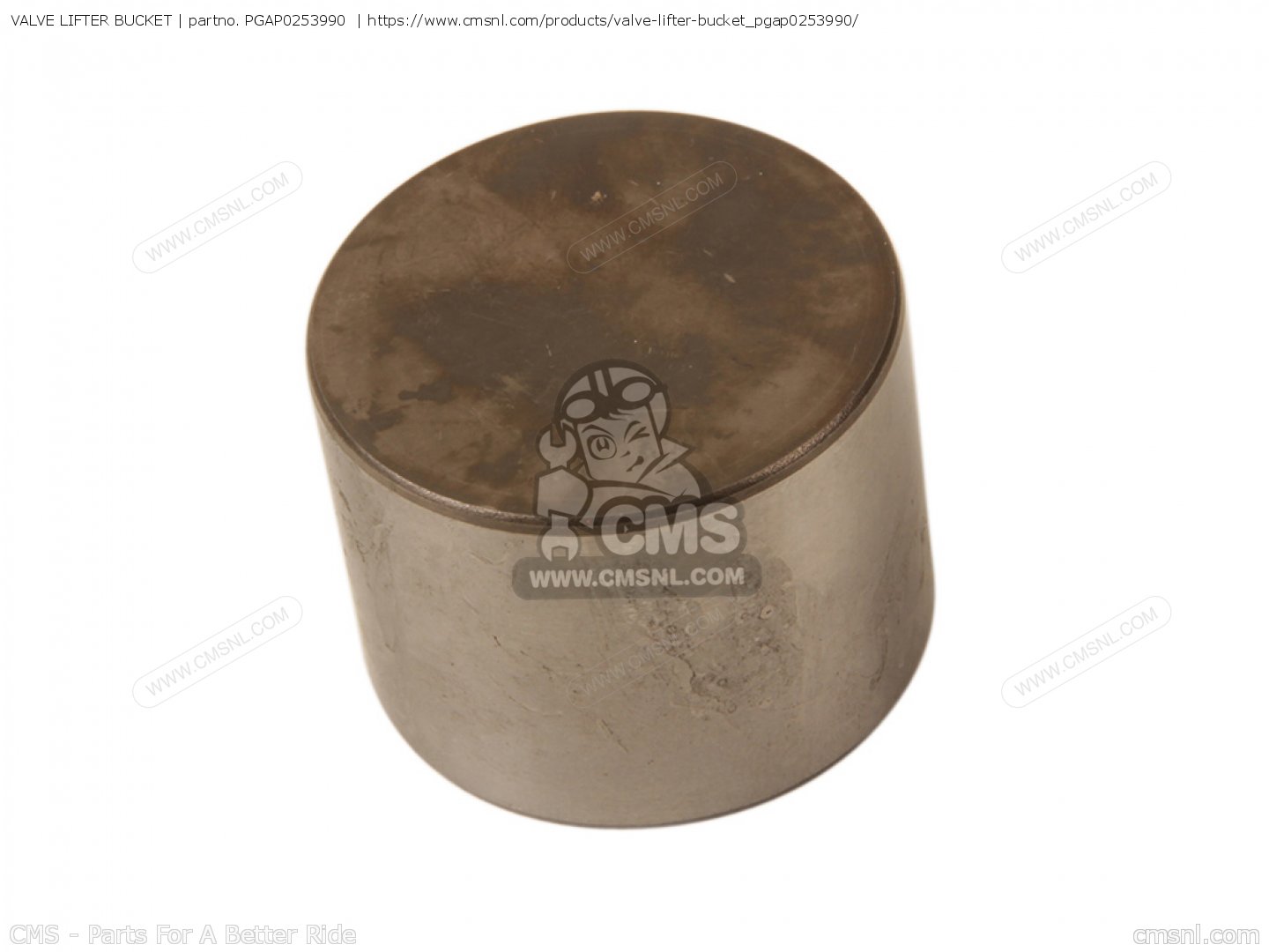 PGAP0253990: VALVE LIFTER BUCKET Piaggio Group - buy the PGAP0253990 at ...