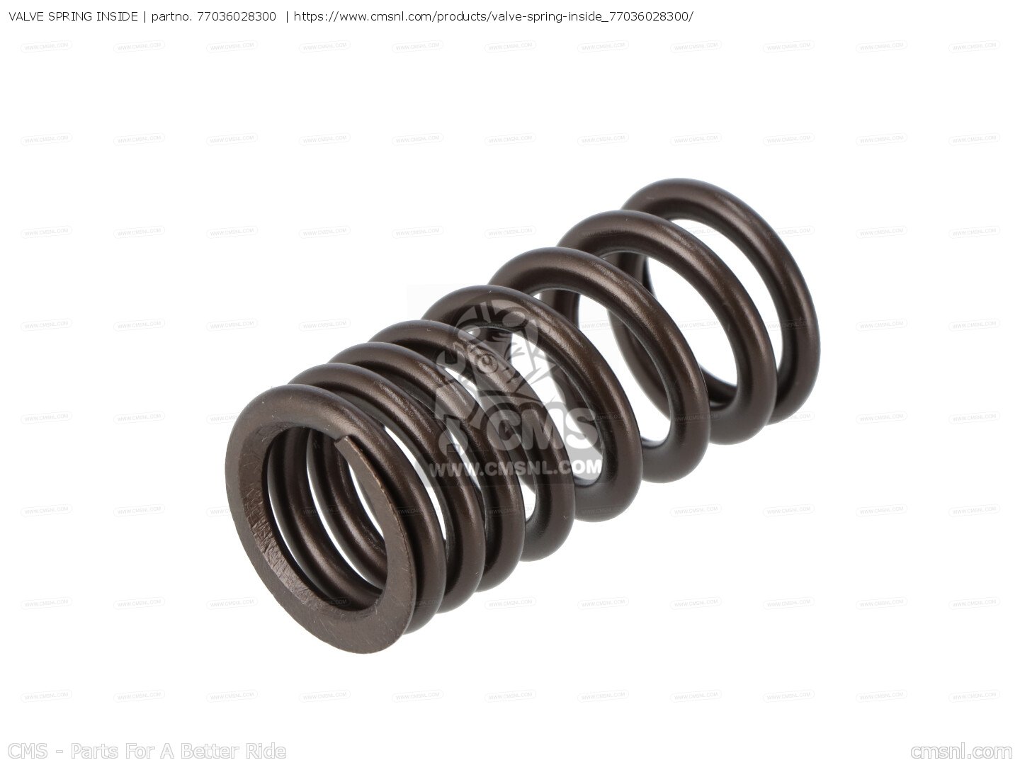 77036028300: VALVE SPRING INSIDE KTM - buy the 77036028300 at CMSNL