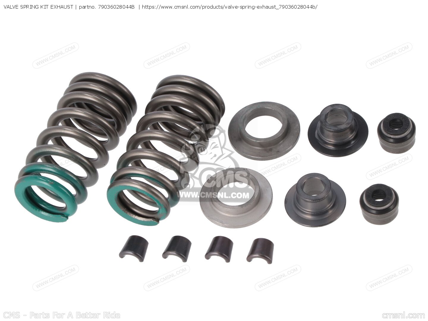 79036028044B: VALVE SPRING KIT EXHAUST GASGAS - buy the 79036028044 at ...