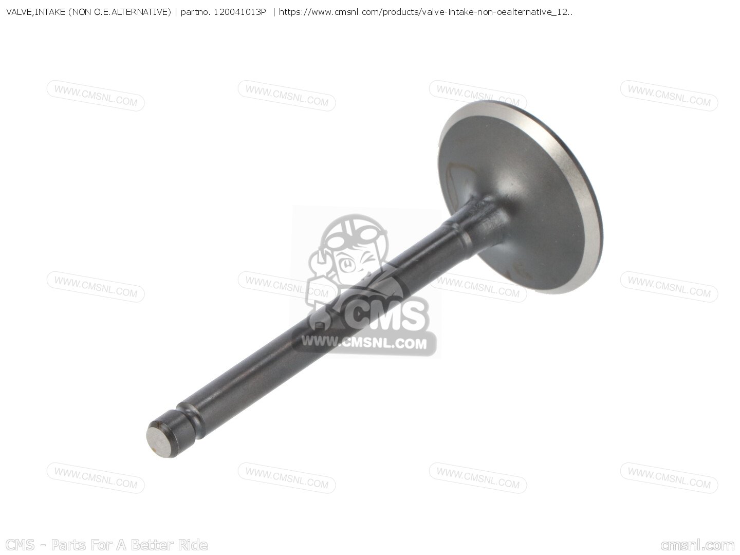 VALVE,INTAKE (NON O.E. ALTERNATIVE) for Kawasaki - order at CMSNL