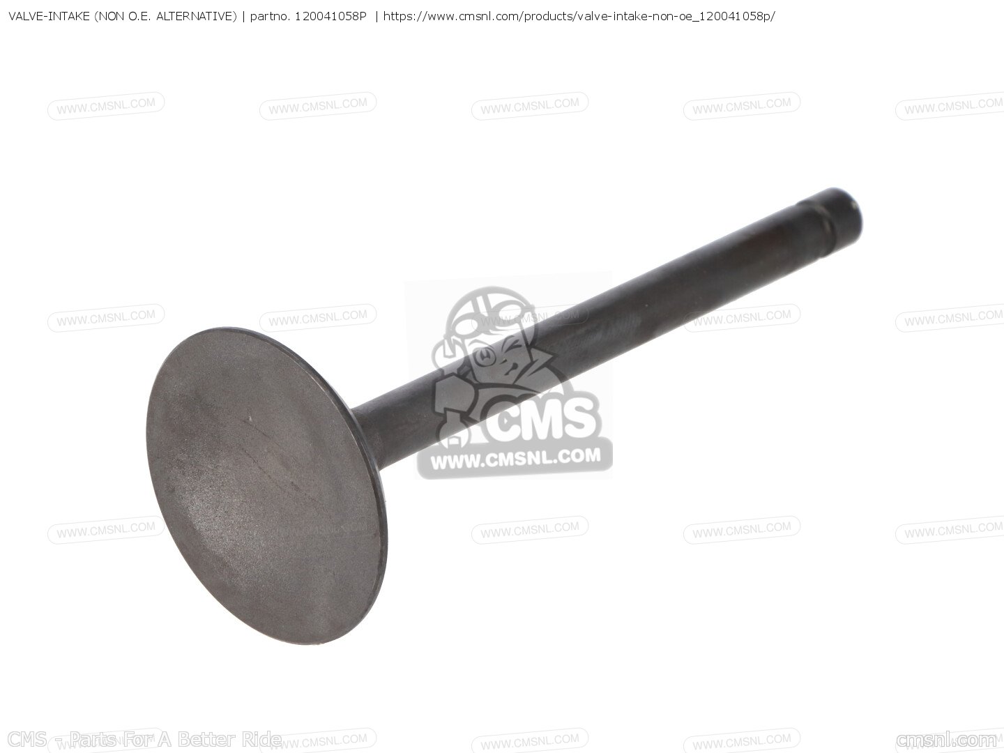 VALVE-INTAKE (NON O.E. ALTERNATIVE) for Kawasaki - order at CMSNL