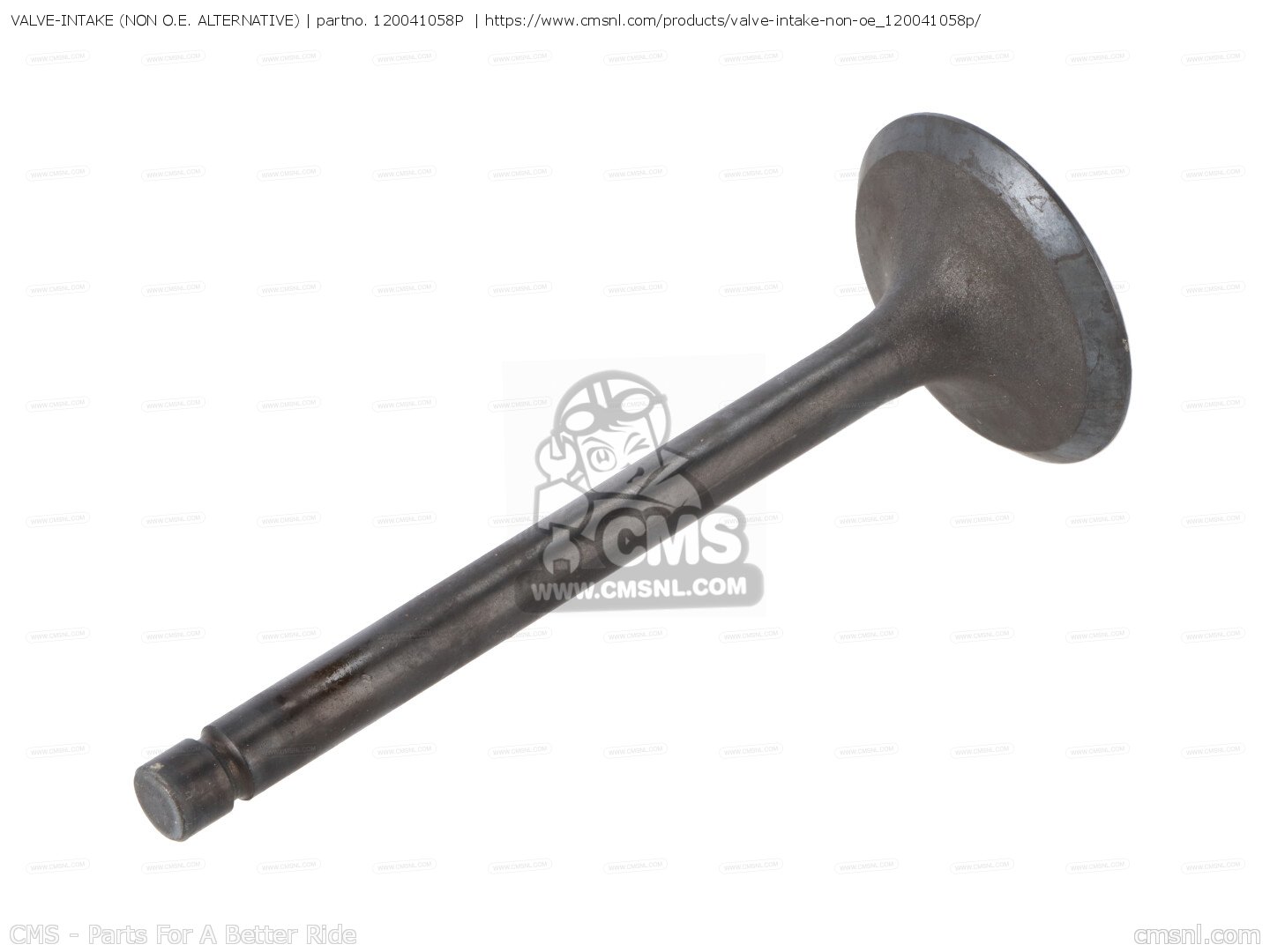 VALVE-INTAKE (NON O.E. ALTERNATIVE) for Kawasaki - order at CMSNL